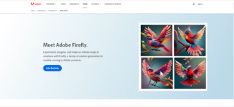 Adobe Firefly Online